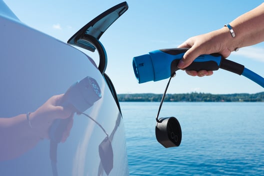 EVA Global files for bankruptcy