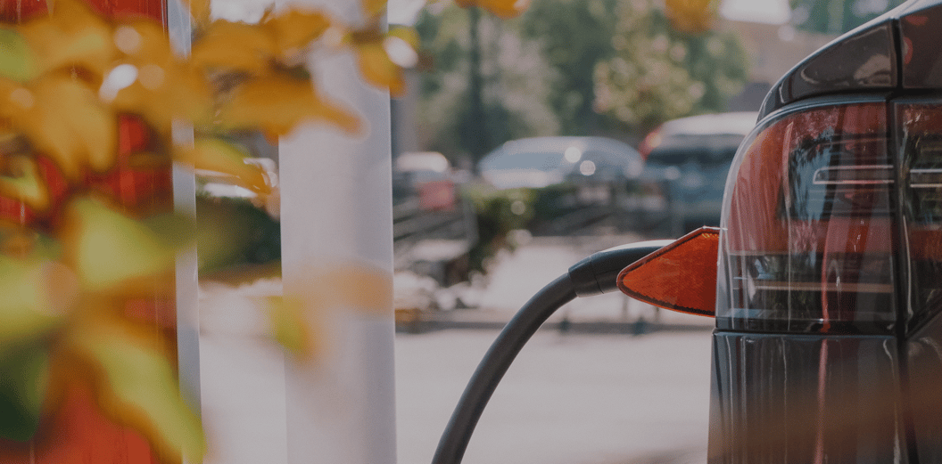 EVA Global files for bankruptcy